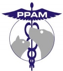 The World Continuing Education Alliance | WCEA | Continuing Education Platform